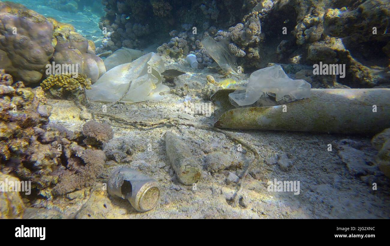 Seabed of beautiful coral reef covered with plastic and other garbage ...