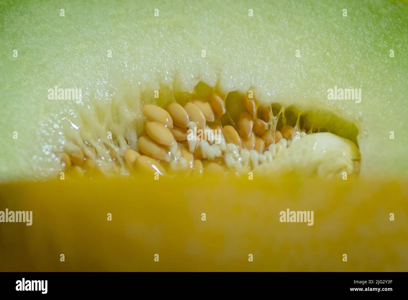 Pulp of a melon. Internal part of a melon - her heart. an interlacing ...