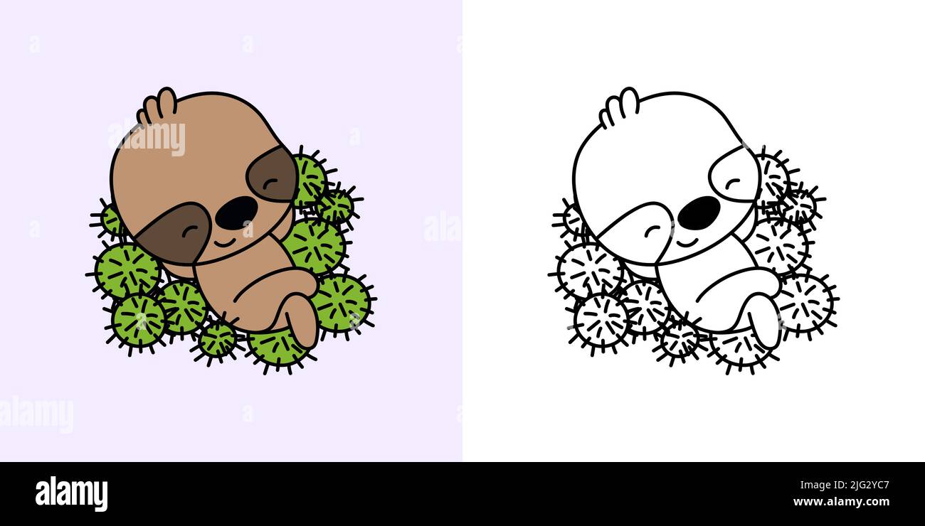 Set Clipart Sloth Multicolored and Black and White. Kawaii Clip Art ...