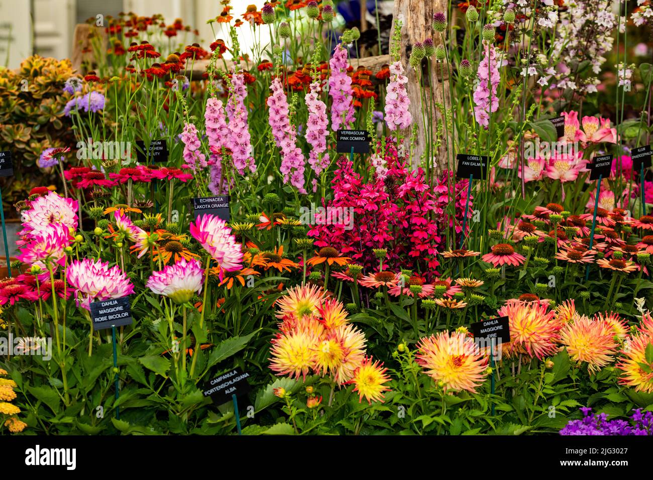 Floral display at RHS Hampton Court Palace Flower Festival Stock Photo ...