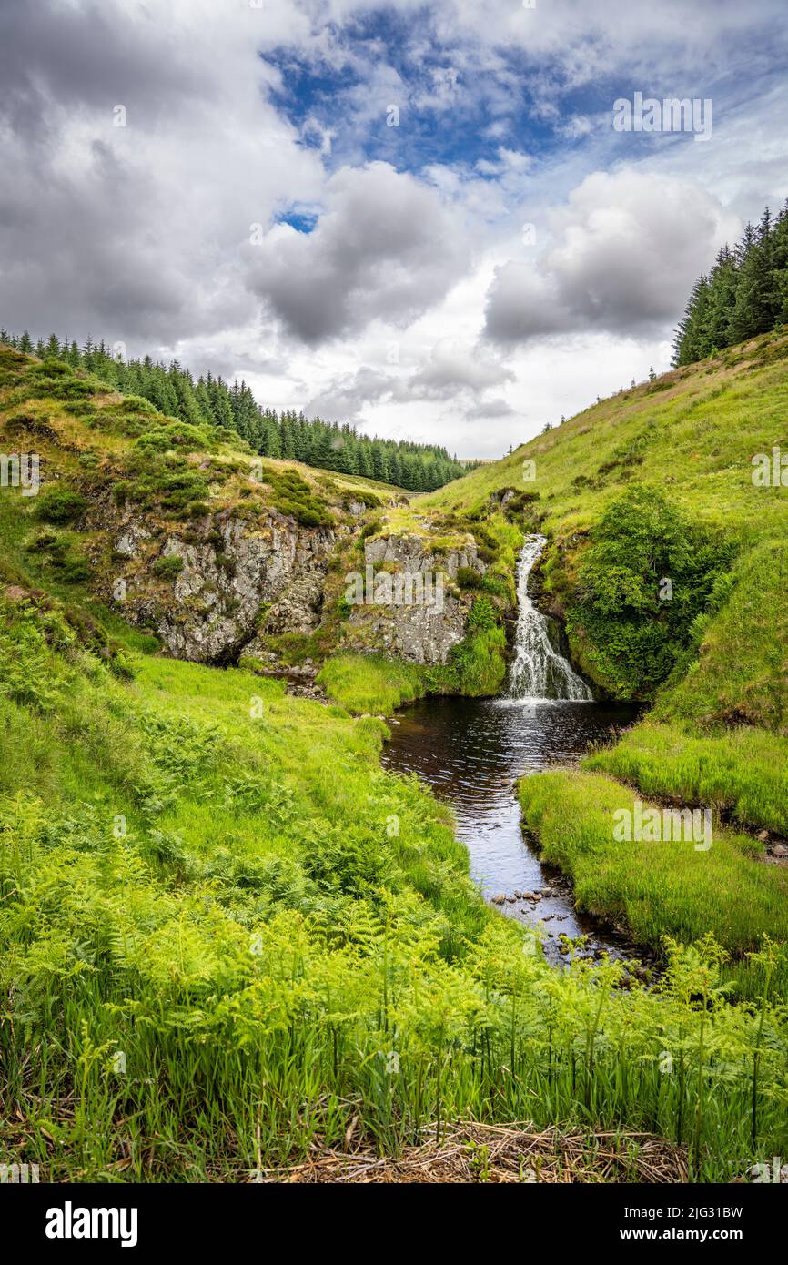 Davidson's Linn waterfall in the Northumberland National Park Stock ...