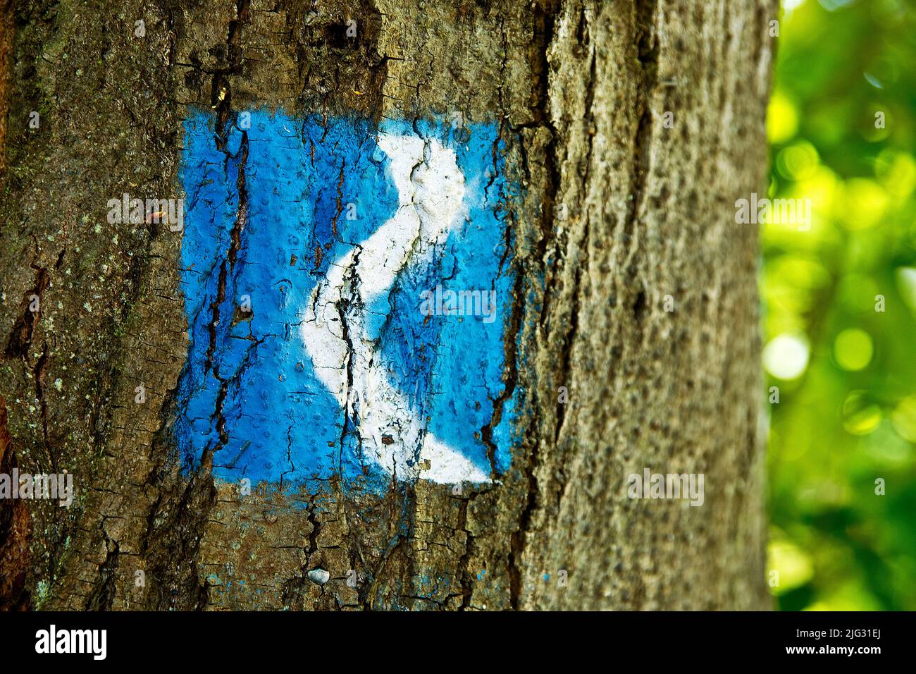 blue trail marker of the Rheinsteig on a tree, Germany, Rhineland ...