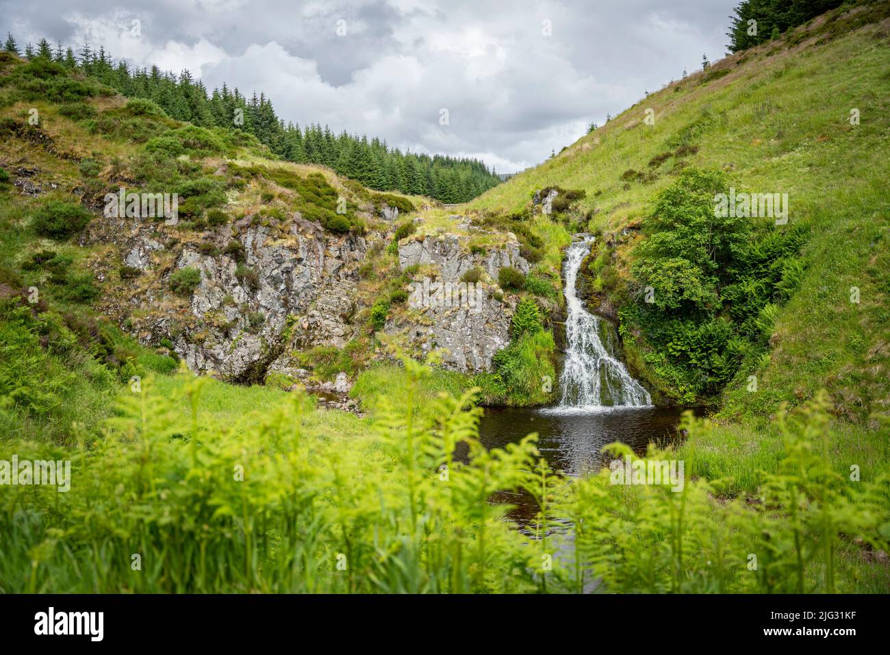 Davidson's Linn waterfall in the Northumberland National Park Stock ...