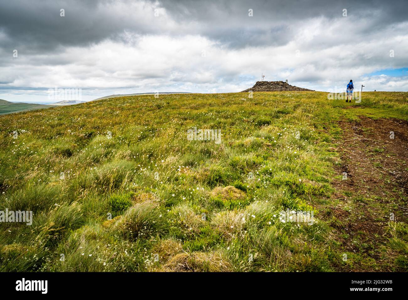 Footpathup to Russell's Cairn on the summit of Windy Gyle, border of ...