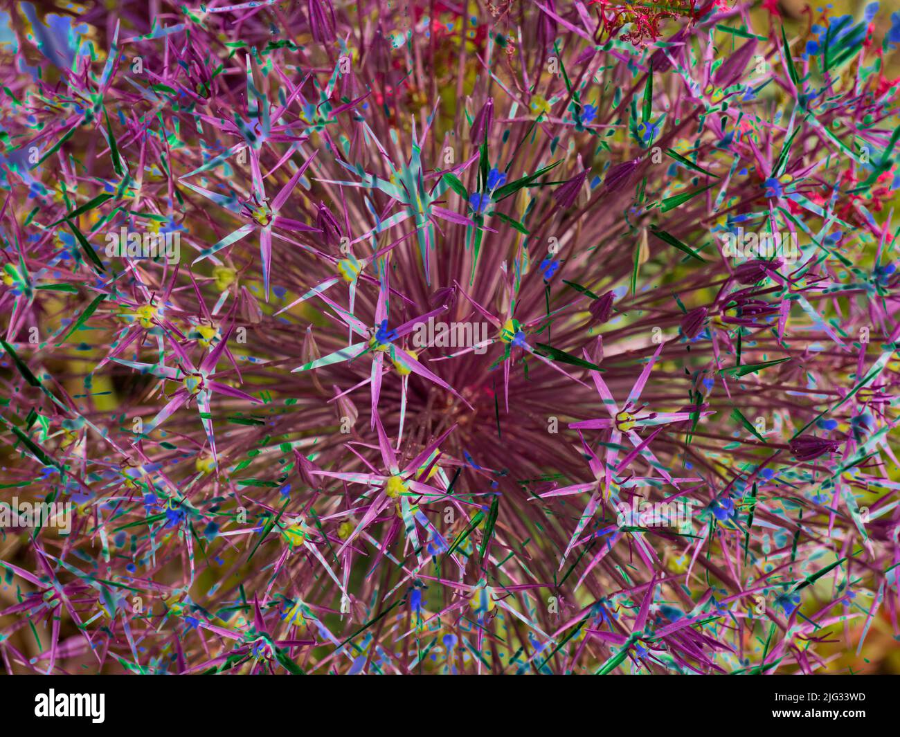 This surprisingly abstract-looking shot is actually a close-up image of ...