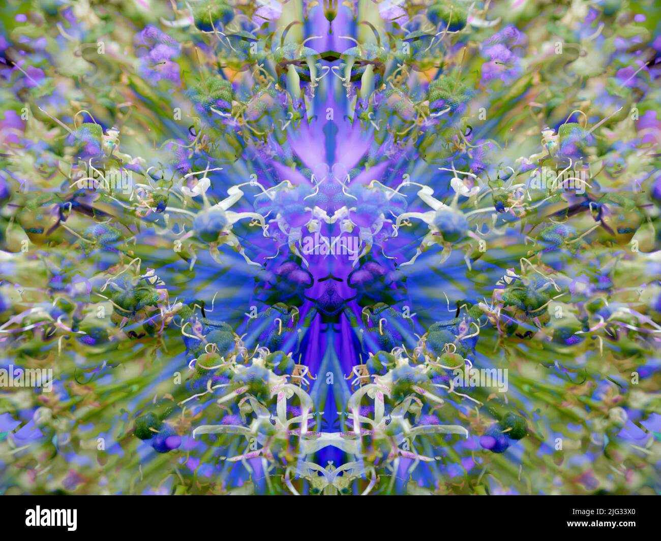 This surprisingly abstract-looking shot is actually a close-up image of ...