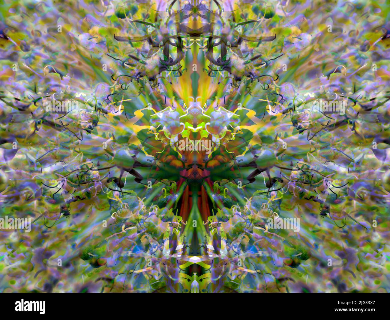 This surprisingly abstract-looking shot is actually a close-up image of ...