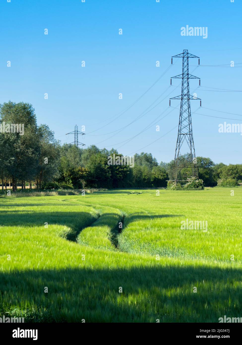 I love electricity pylons; I find their abstract, gaunt shapes ...