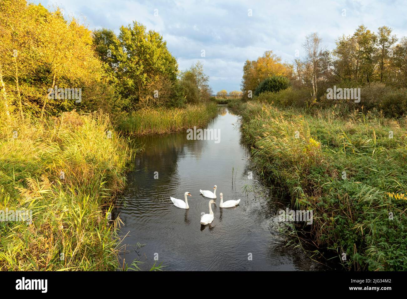 Wieden hi-res stock photography and images - Alamy