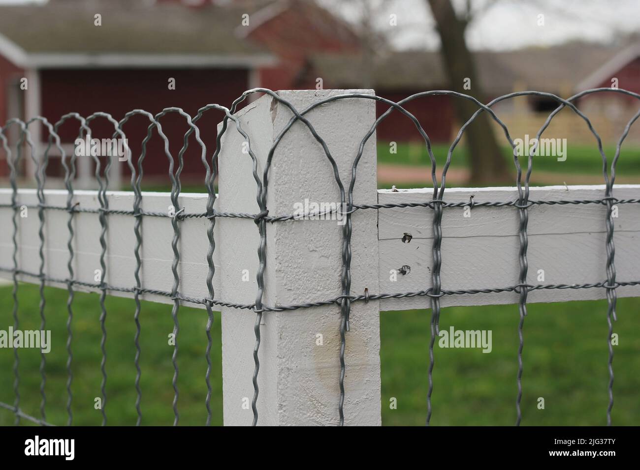 Simple wire fence surrounding a garden in the spring Stock Photo - Alamy