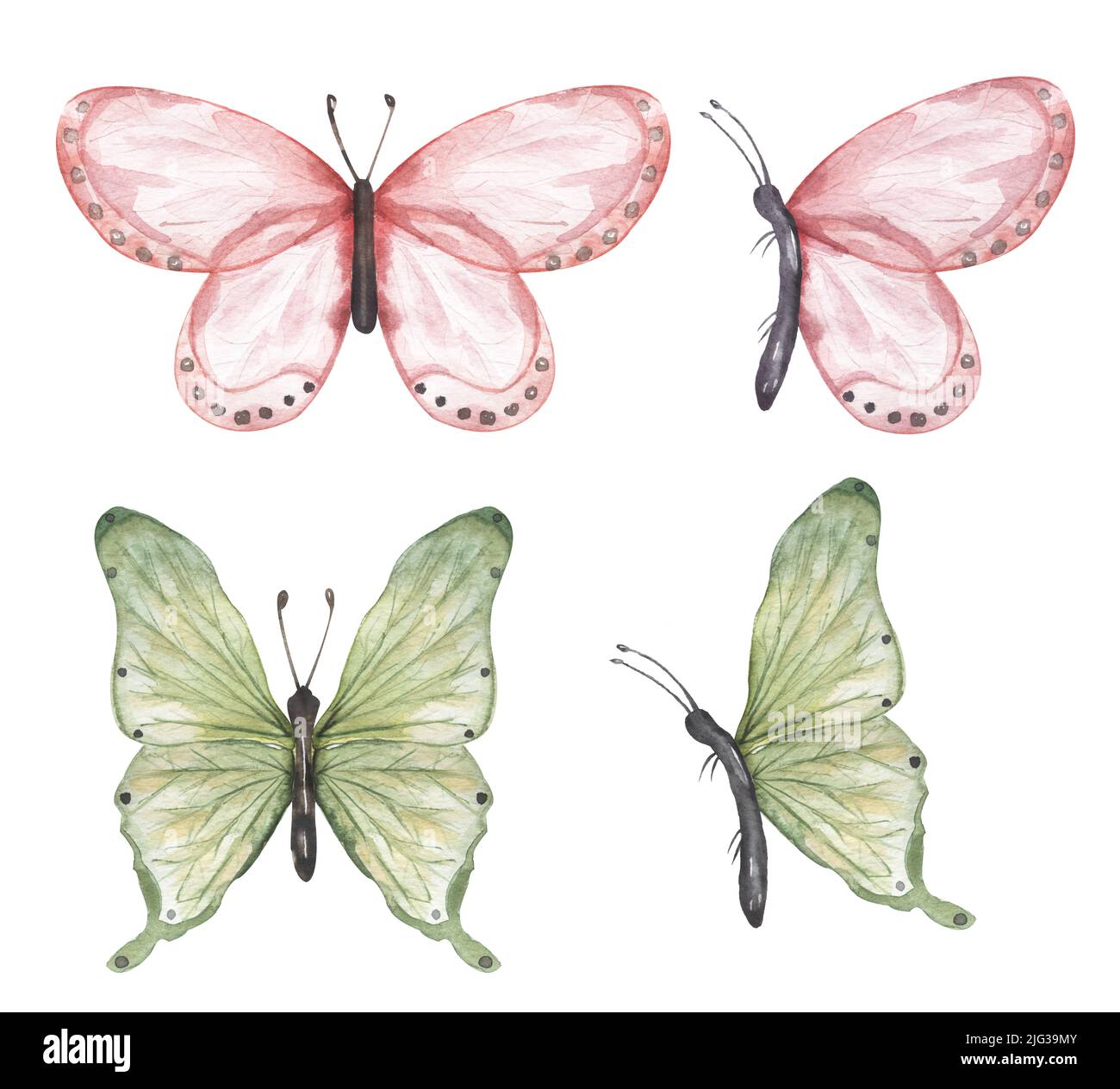 Delicate pink and green butterfly Clipart Set, Watercolor Insects ...