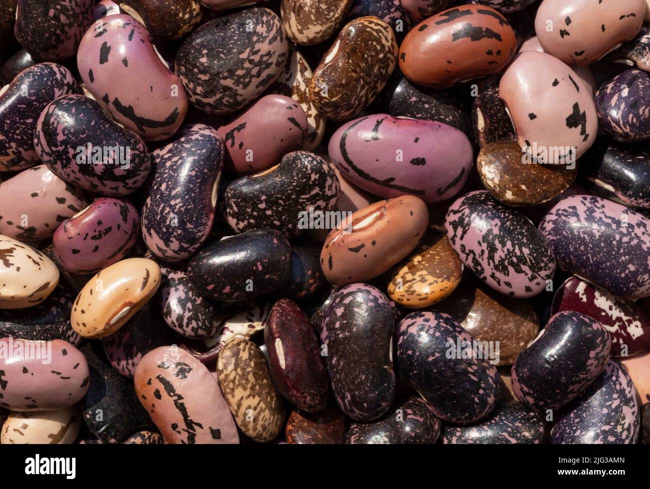 close up of heap of raw color beans Stock Photo - Alamy