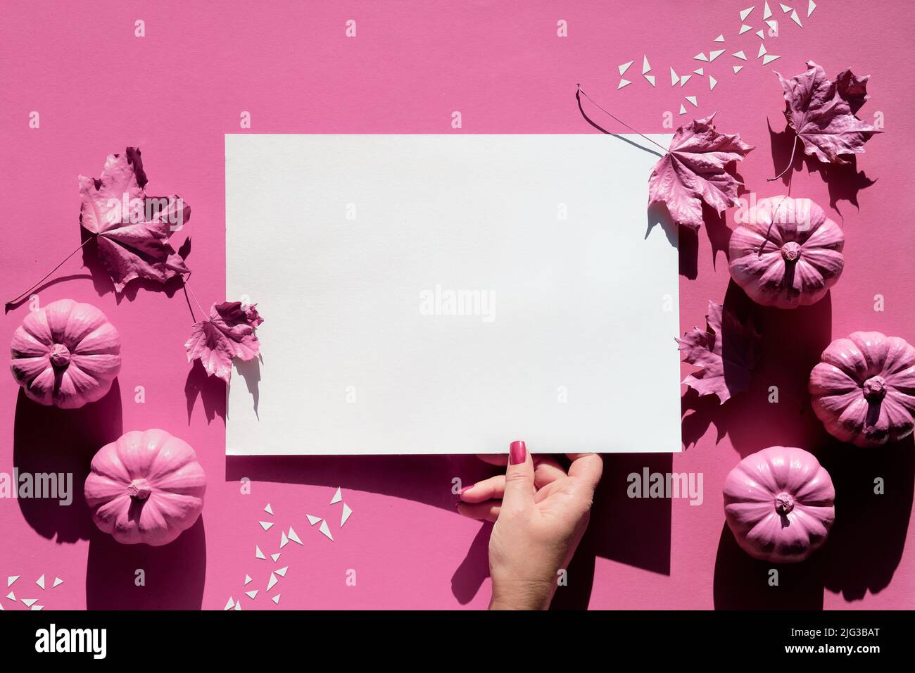 Pink fuchsia paper background with Autumn decor. Blank frame in hand ...