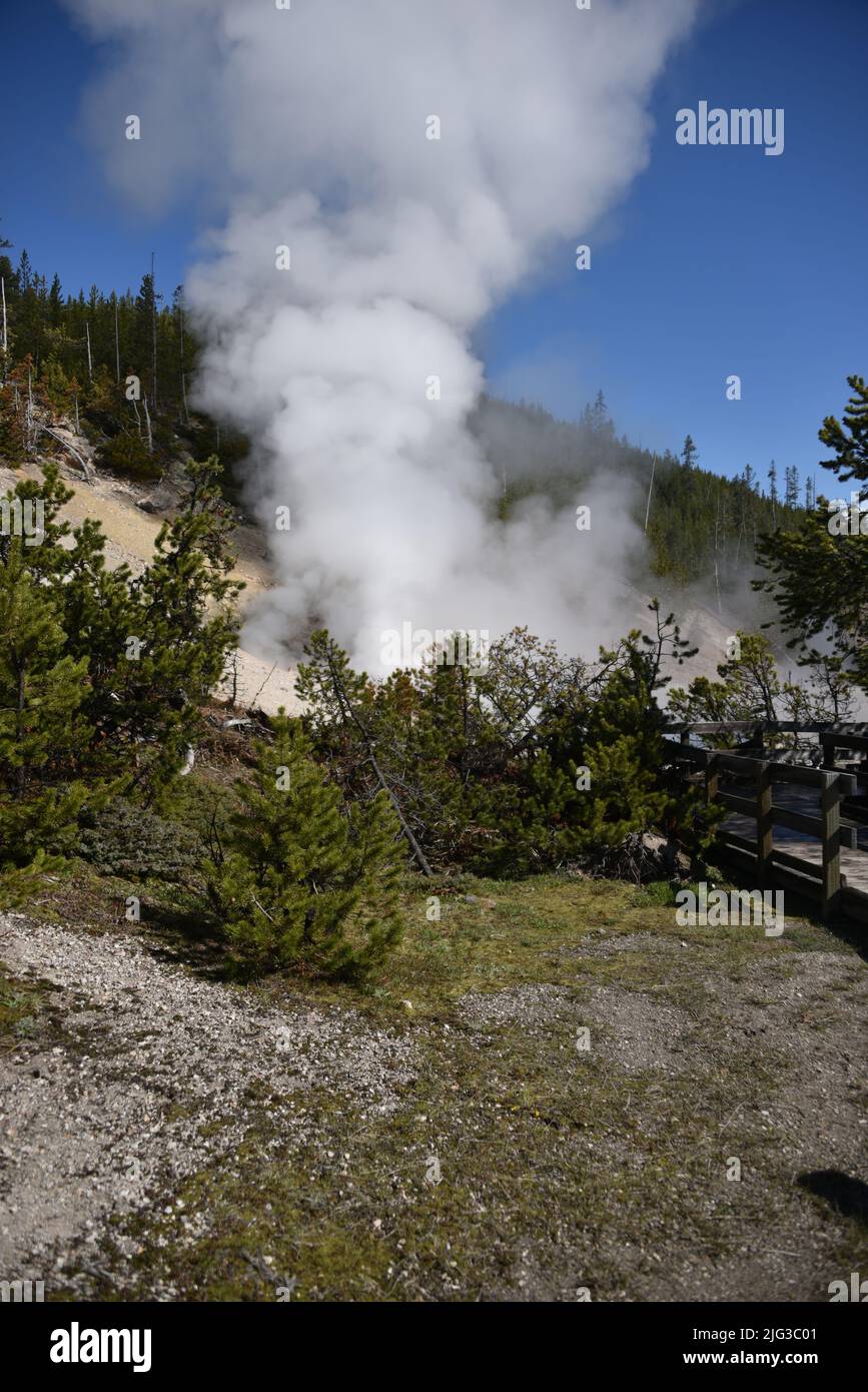 Yellowstone National Park, USA. 5/21-24/2022. Beryl spring is a ...