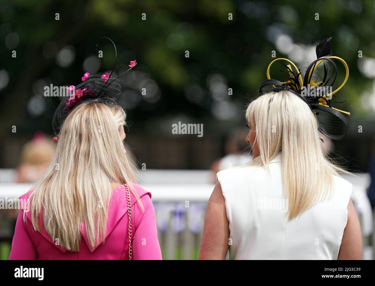 Fashionable fillies hi-res stock photography and images - Alamy