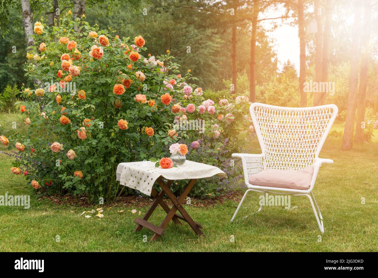 Romantic sitting area in the rose garden, wooden table and chairs near ...