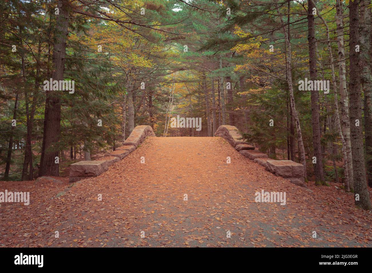Carriage way hi-res stock photography and images - Alamy