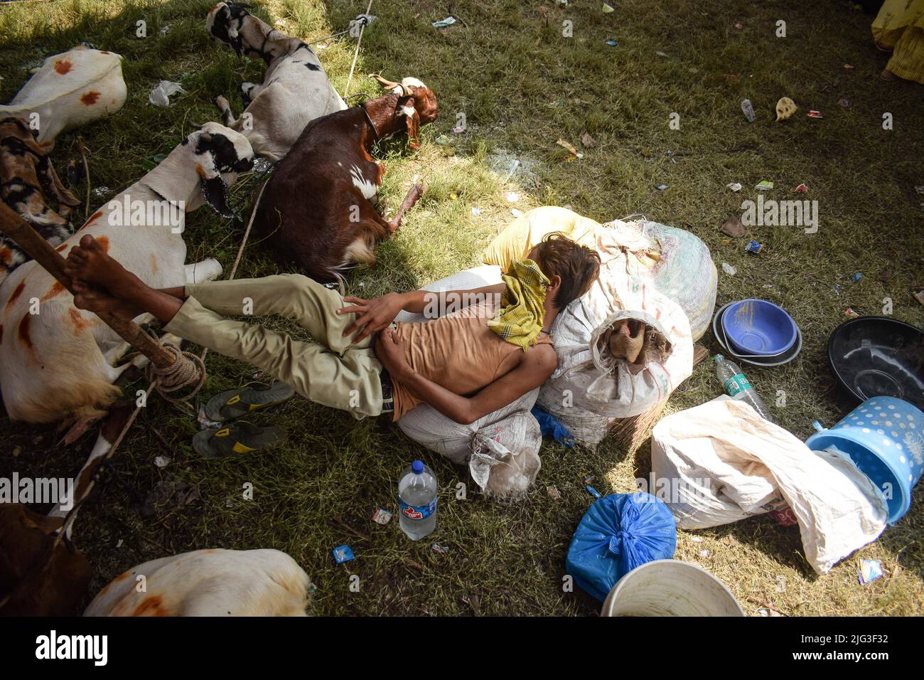 Eid kabir hi-res stock photography and images - Alamy