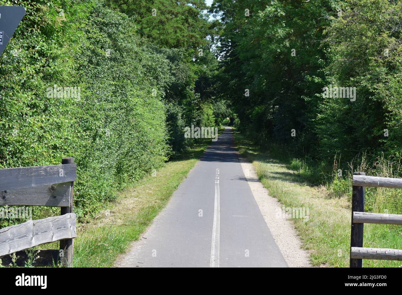 bike road between trees Stock Photo - Alamy