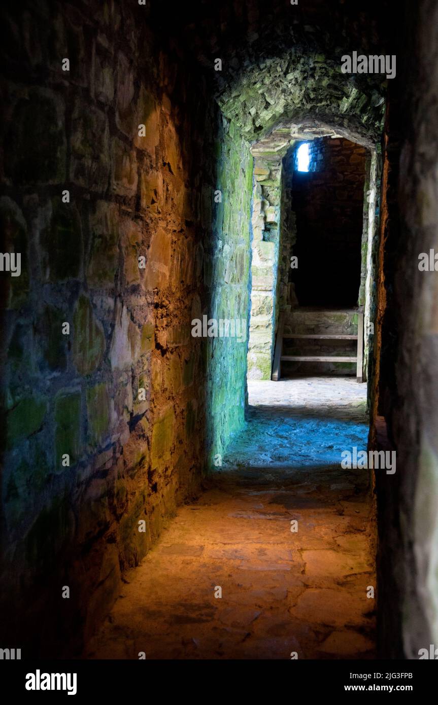 Medieval Trim Castle in Trim, Ireland Stock Photo - Alamy