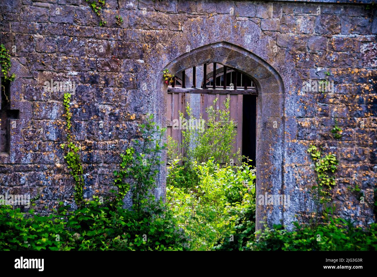Pointed arched gate at Charleville Castle ruin in Tullamore, Ireland ...