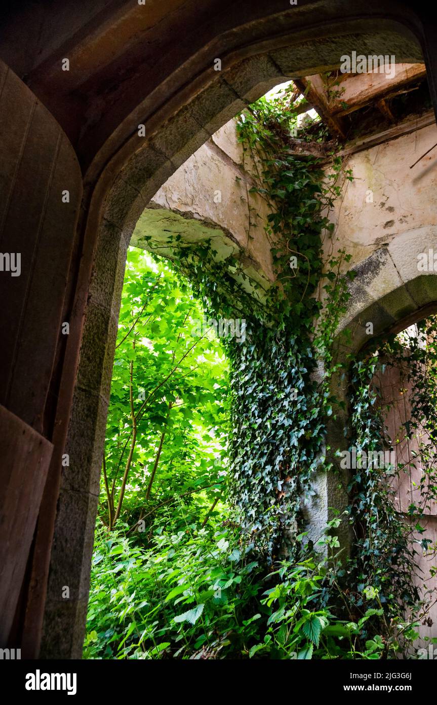 Charleville Castle Stables at abandoned Charleville Castle in Tullamore ...