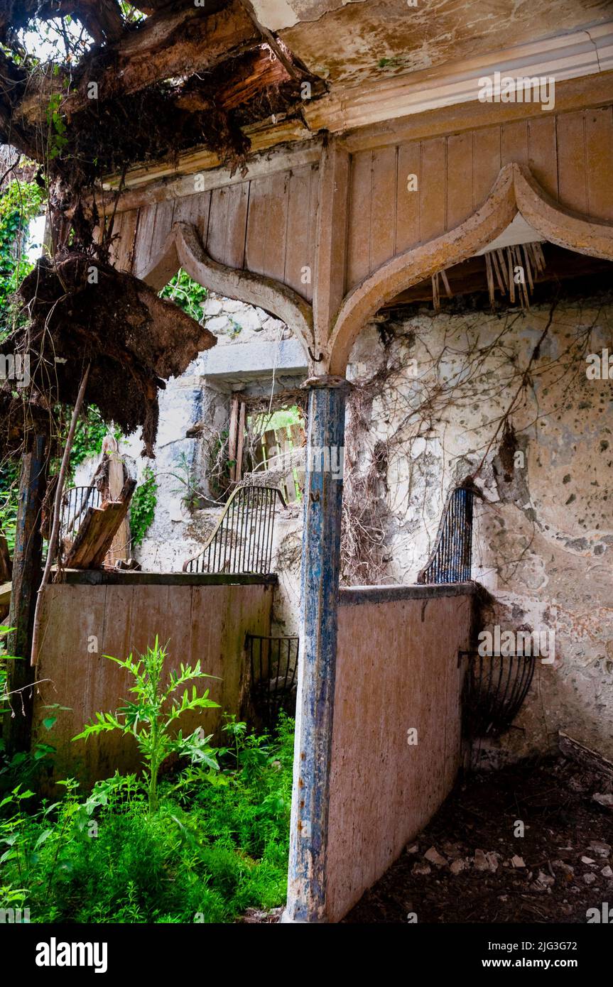Charleville Castle Stables at abandoned Charleville Castle in Tullamore ...