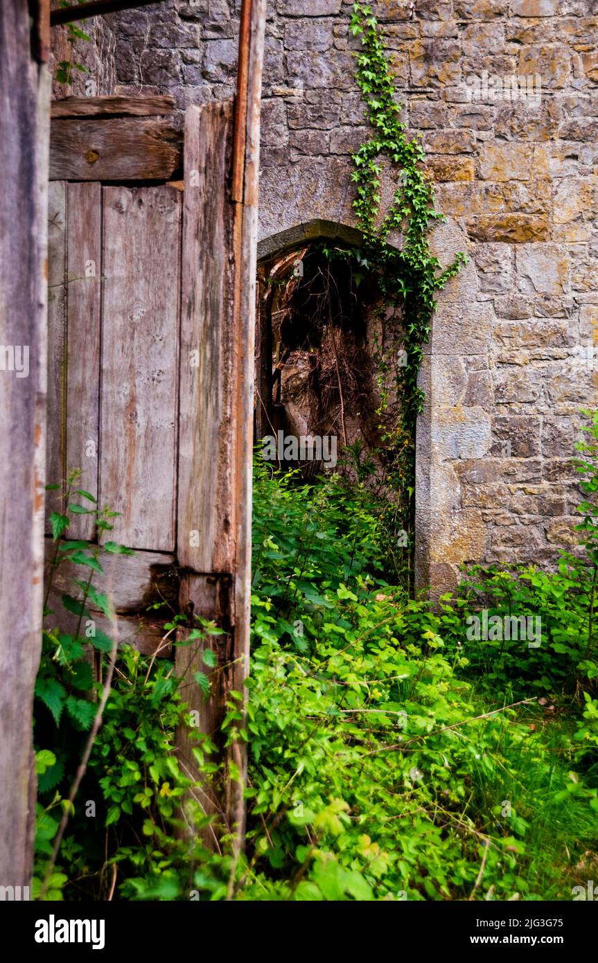 Charleville Castle Stables at abandoned Charleville Castle in Tullamore ...
