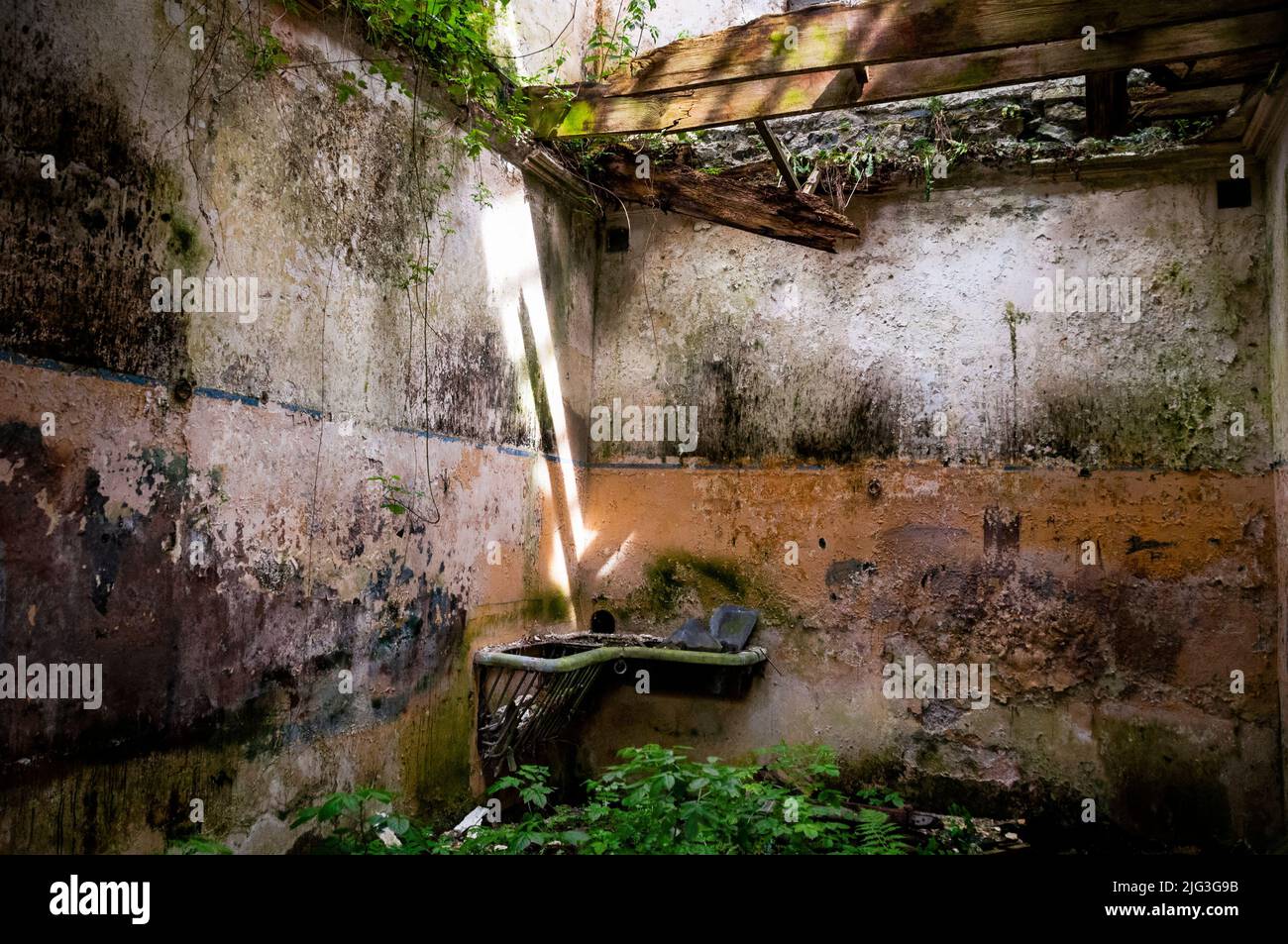 Former stable of the castle hi-res stock photography and images - Alamy