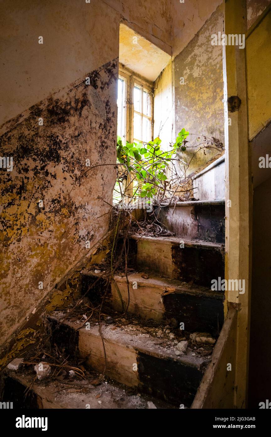 Former stable of the castle hi-res stock photography and images - Alamy