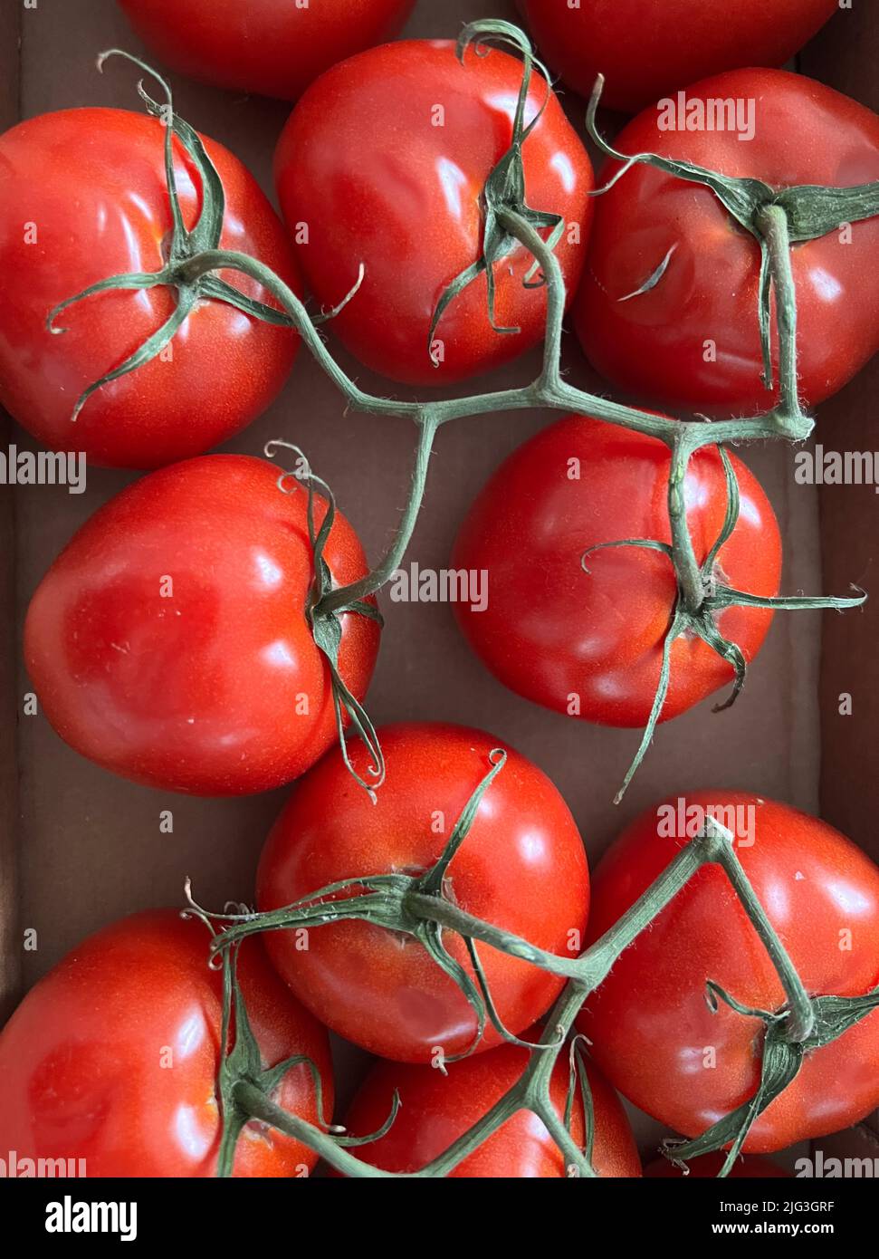 Tomatoes attached to the vine hi-res stock photography and images - Alamy