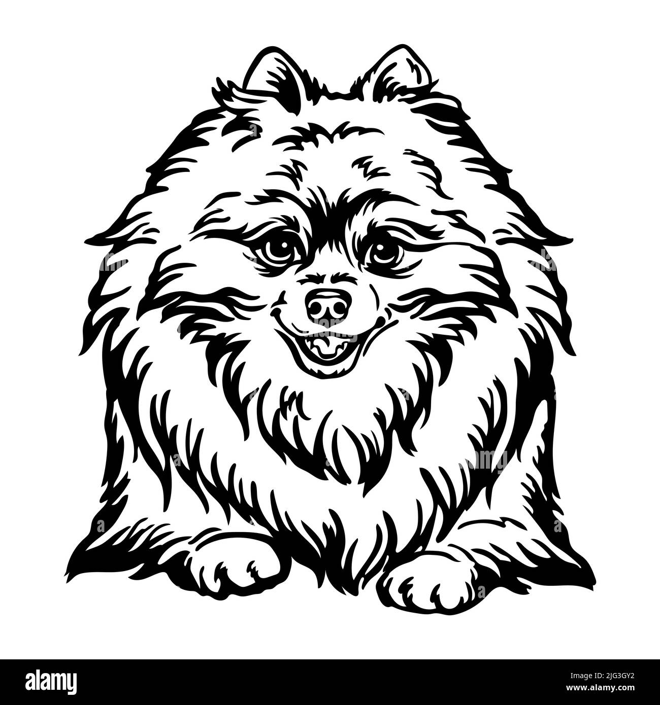 Black And White Pomchi