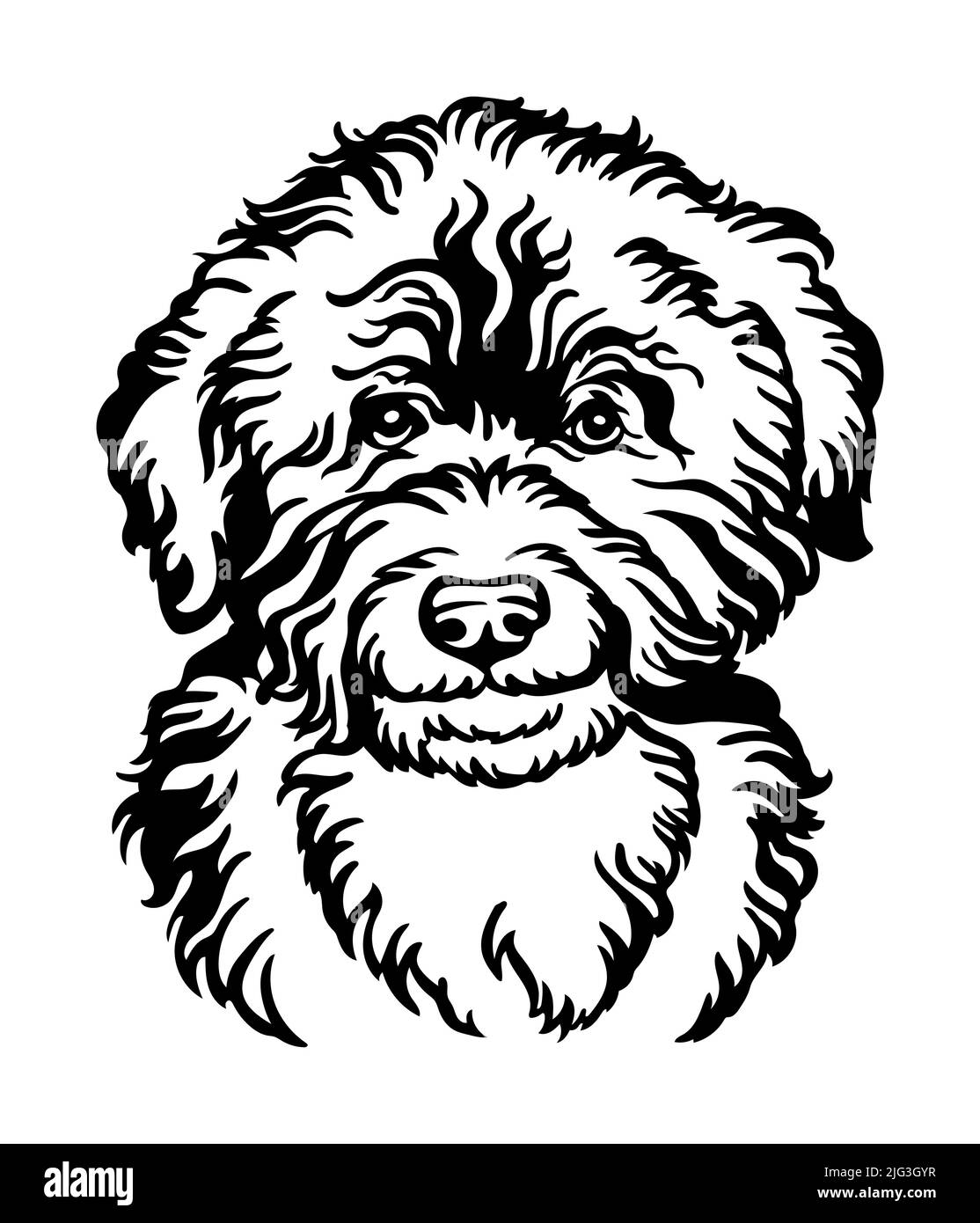 Barbet dog black contour portrait. Dog head in front view vector ...