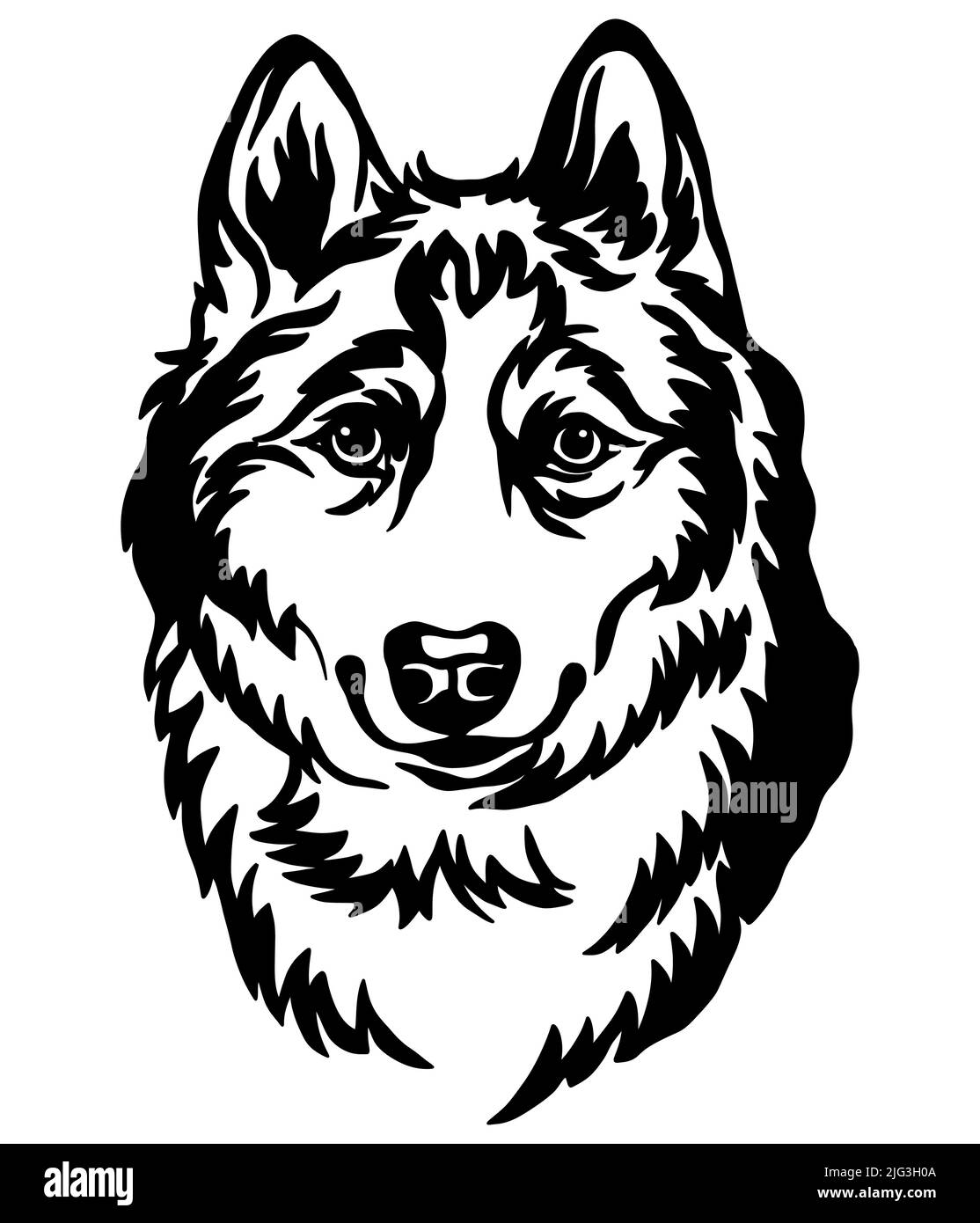 Syberian Husky dog black contour portrait. Dog head in front view ...