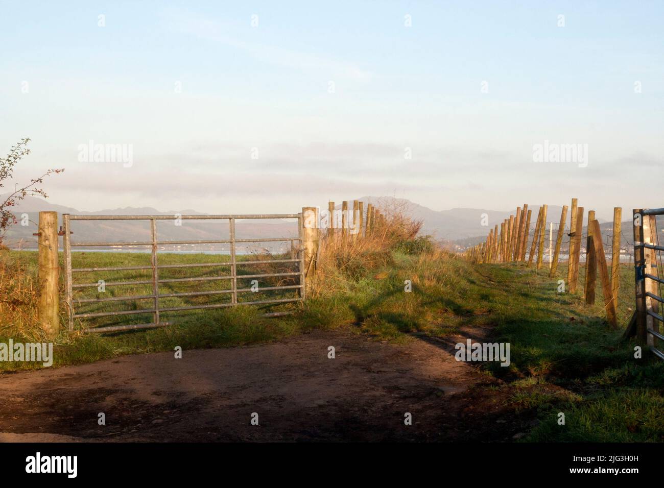 Ardmore nature reserve hi-res stock photography and images - Alamy
