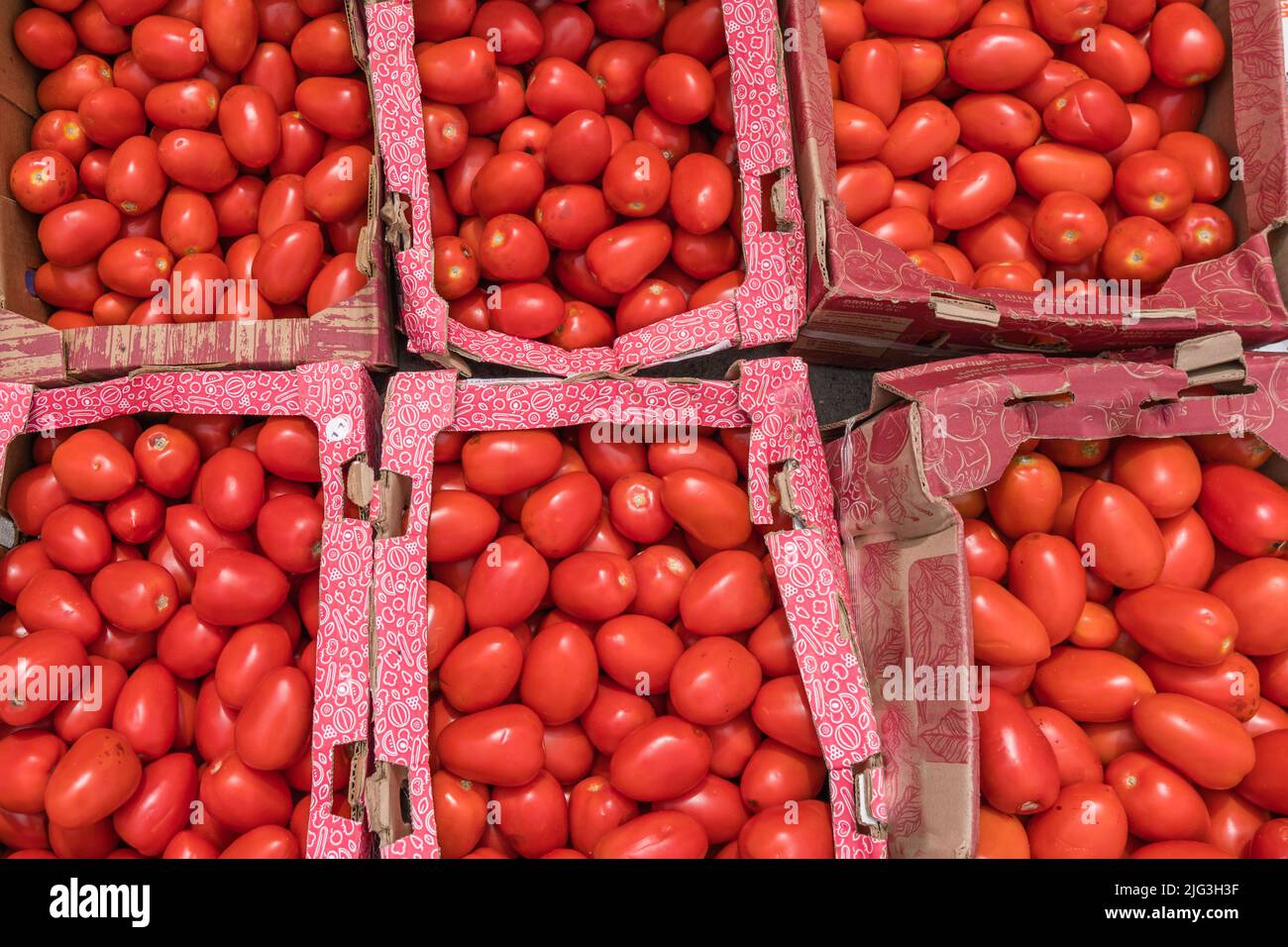 Boston, MA, US-June 11, 2022: Close-up of tomatoes at Haymarket - the ...