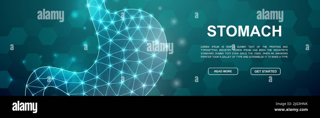 Stomach 3d low poly symbol for head promotion banner. Digestive system ... Stomach 3d low poly symbol for head promotion banner. Digestive system ...