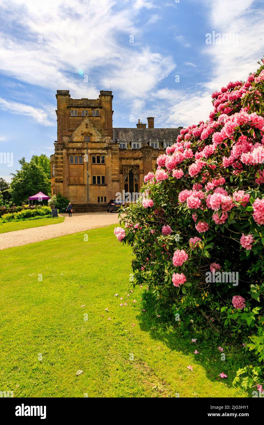 Colourful azaleas and rhododendrons on the approach to Minterne House ...