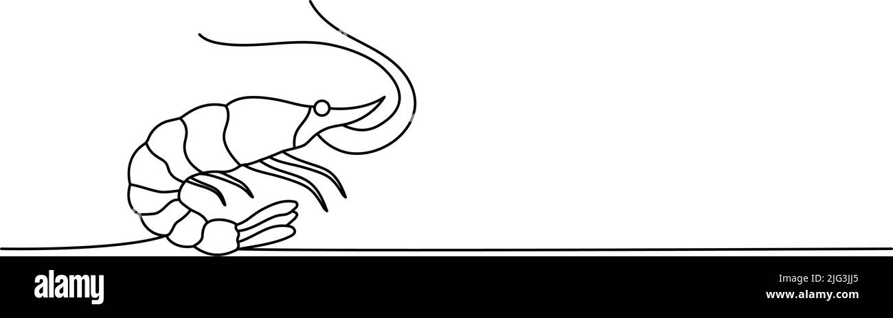 Set of Shrimp one line continuous drawing. Shrimp continuous one line ... Set of Shrimp one line continuous drawing. Shrimp continuous one line ...