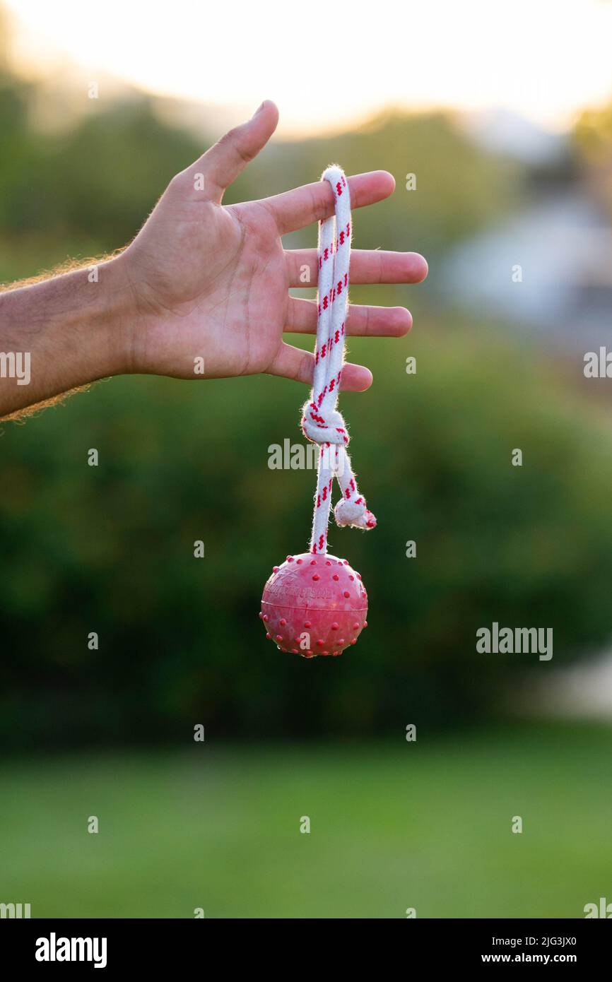 toy for dog ball and rope Stock Photo - Alamy