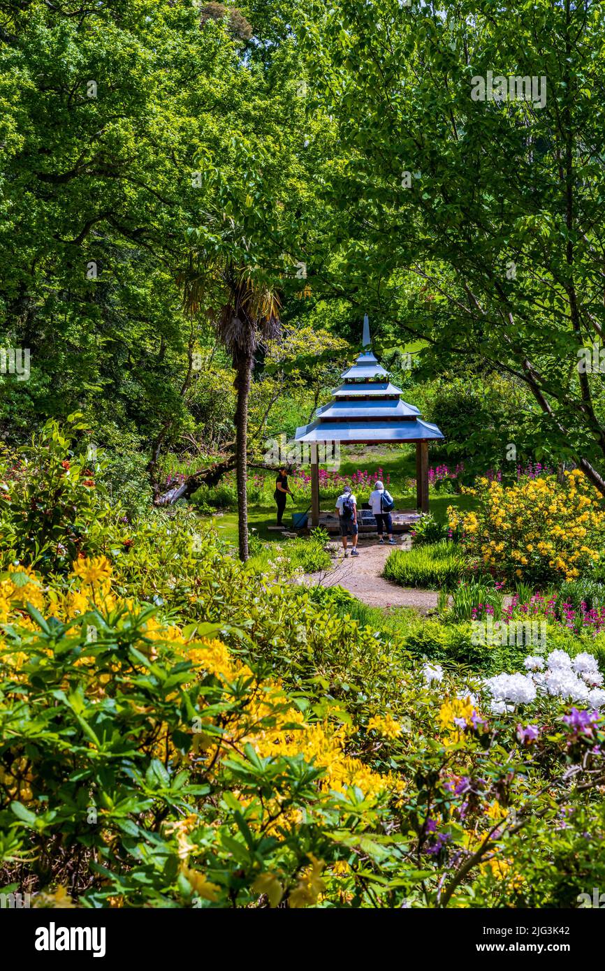 Colourful azaleas and rhododendrons and a pagoda in the Himalayan ...