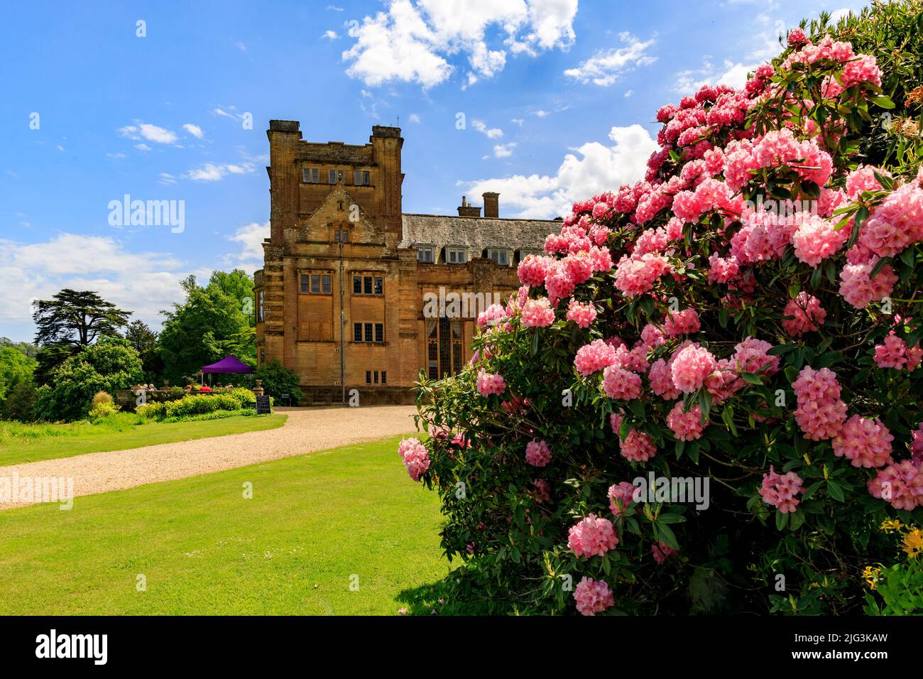 Colourful azaleas and rhododendrons on the approach to Minterne House ...