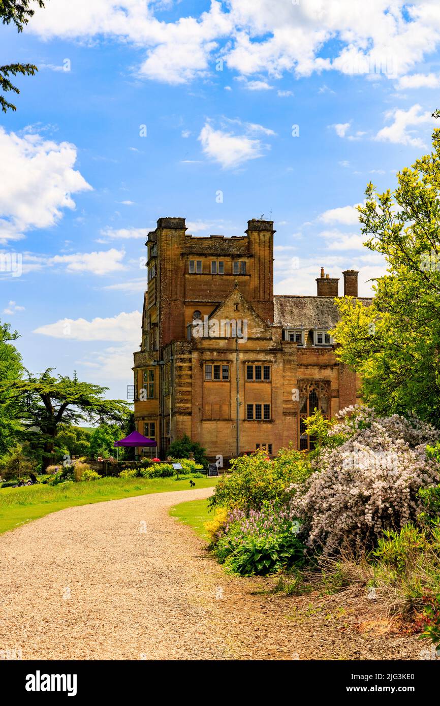 Colourful azaleas and rhododendrons on the approach to Minterne House ...