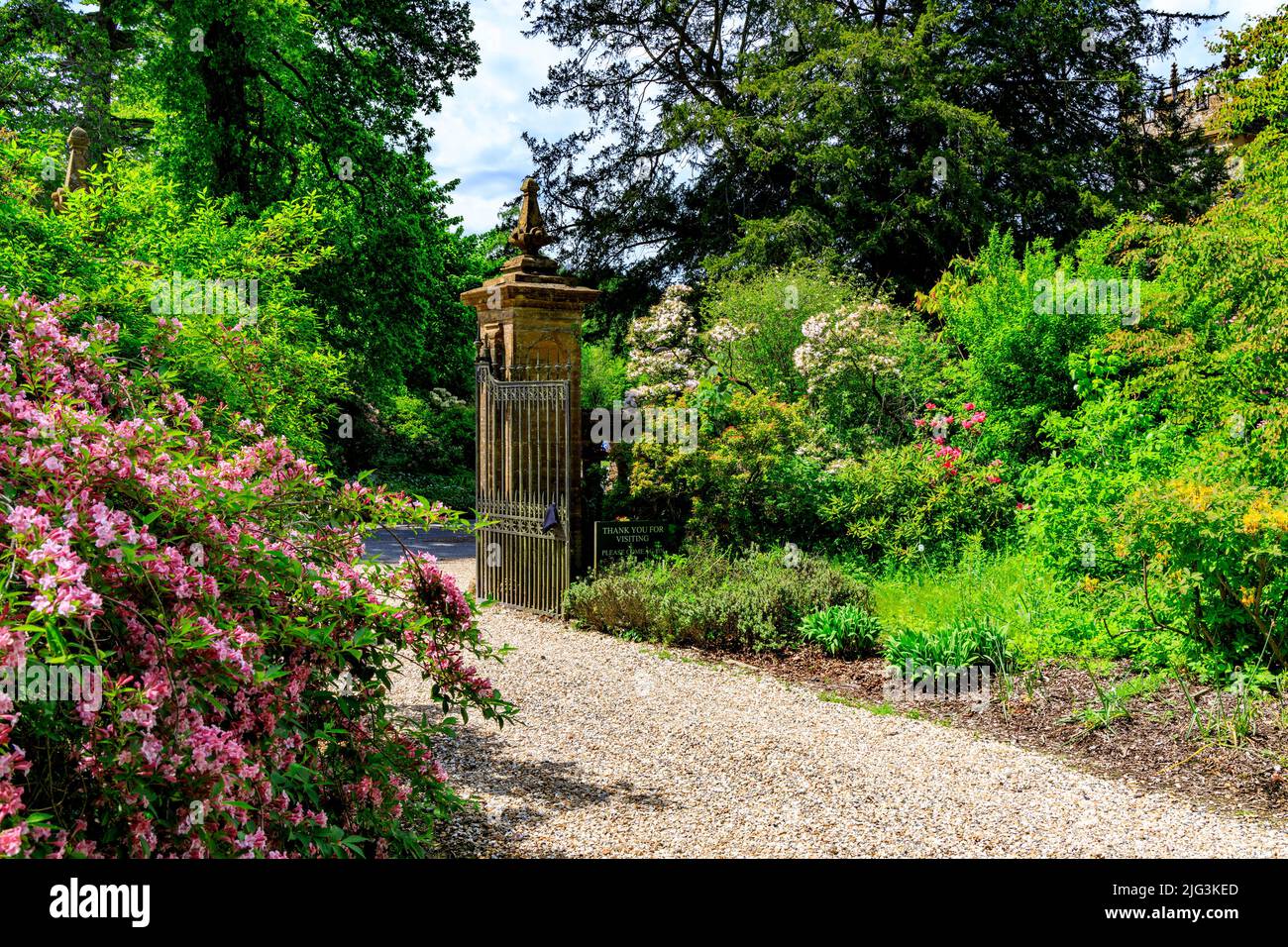 Colourful rhododendrons and azaleas at the entrance to Minterne House ...