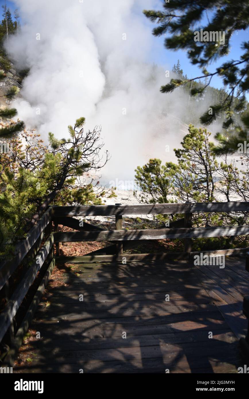 Beryl spring superheated hi-res stock photography and images - Alamy