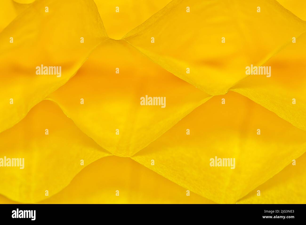 Yellow paper cells abstract patterns and textures background with ...