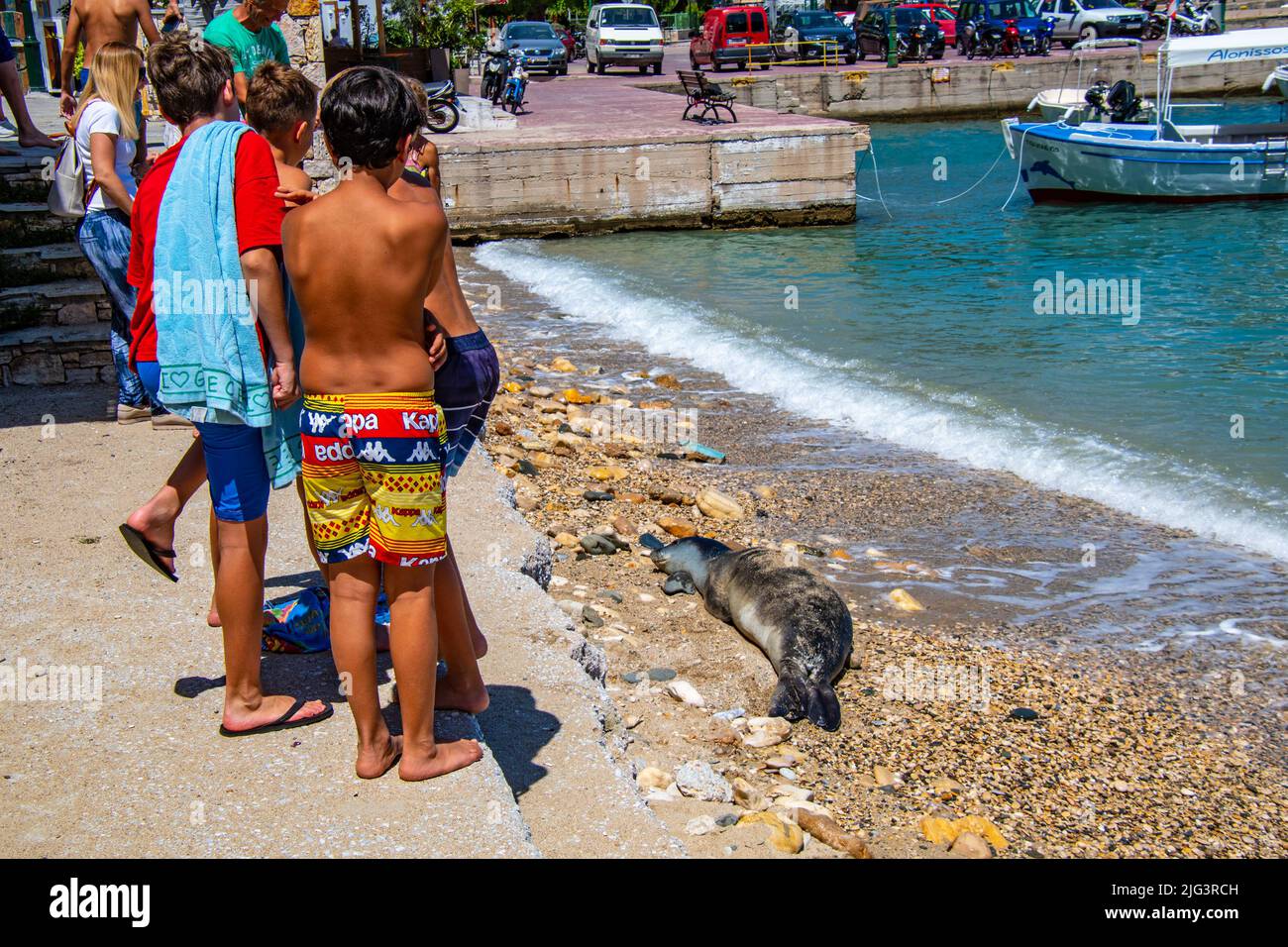 Kids look the friendly seal laying at Patitiri beach in Alonnisos ...
