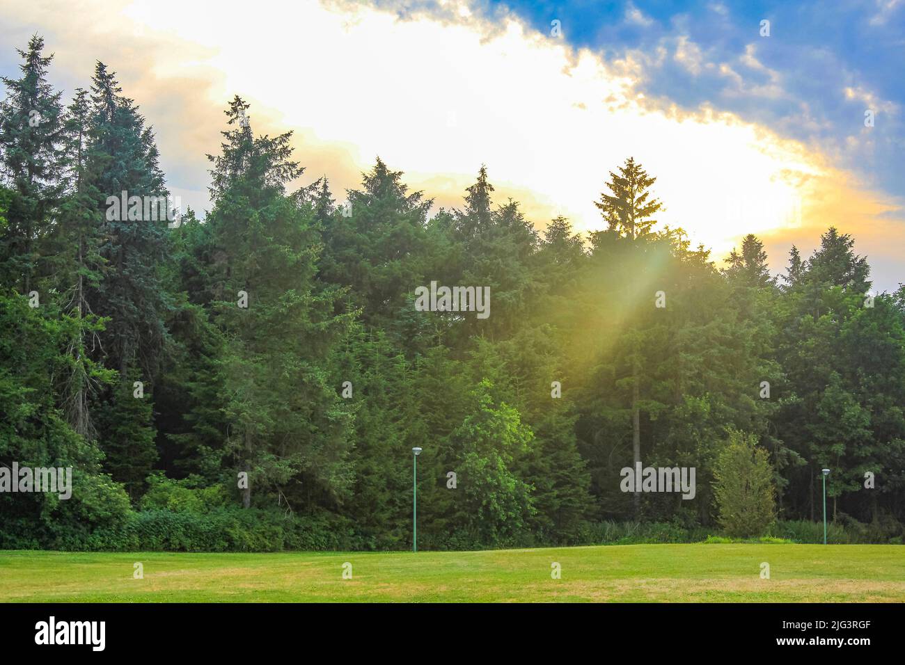Natural beautiful panorama view with pathway and green plants trees in ...