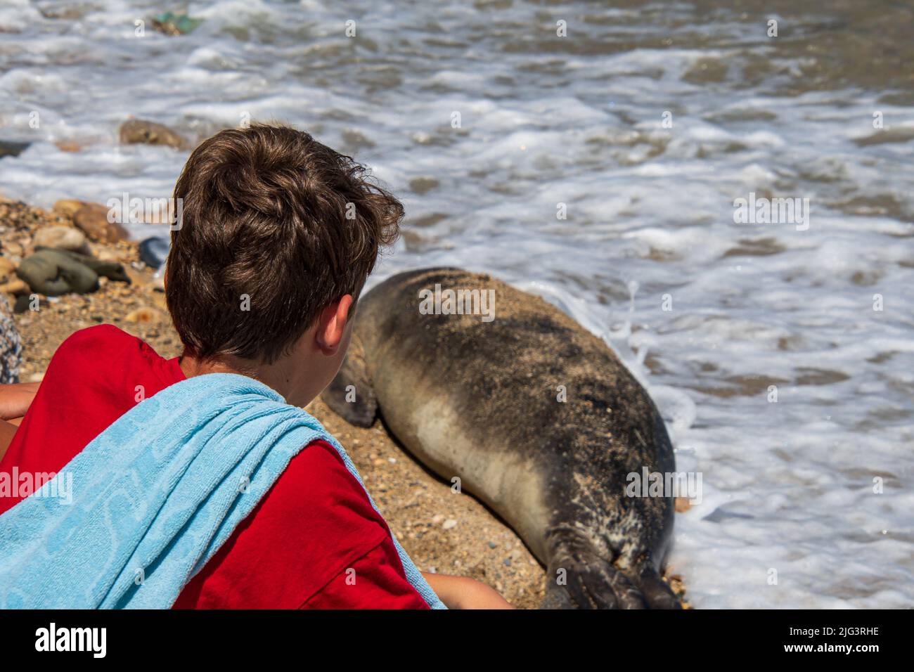 Kids look the friendly seal laying at Patitiri beach in Alonnisos ...