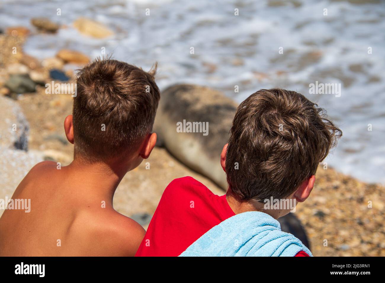 Kids look the friendly seal laying at Patitiri beach in Alonnisos ...